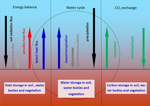 KMI - General information
